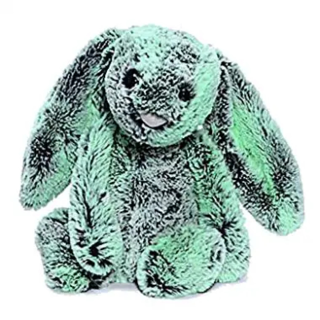 Bashful Pistachio Bunny - My Jellycat Collection