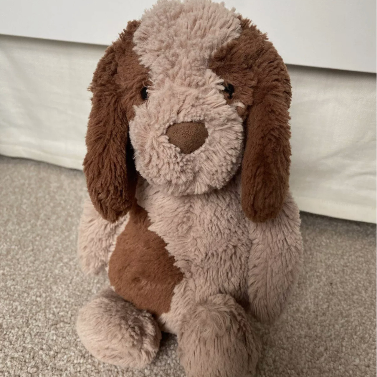 Bashful Cocker Spaniel - My Jellycat Collection