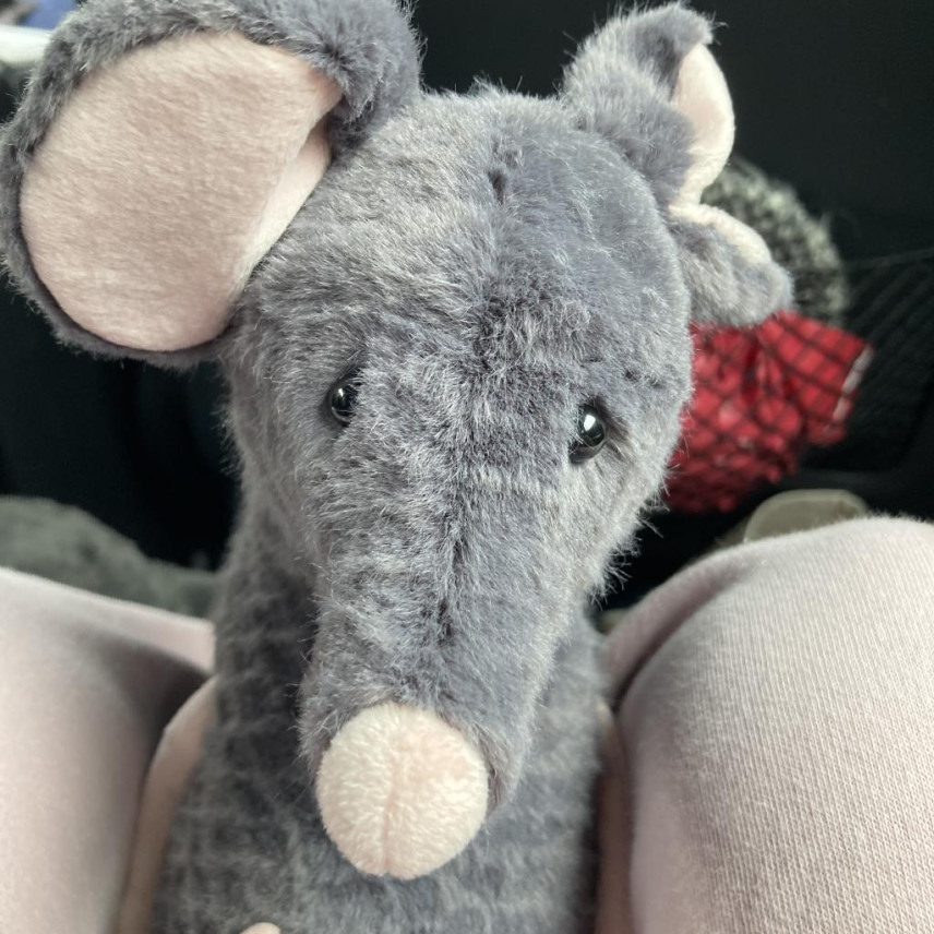 Lachlan Sad Rat - My Jellycat Collection